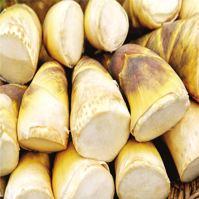 canned bamboo shoot slices - Jutai Foods Group